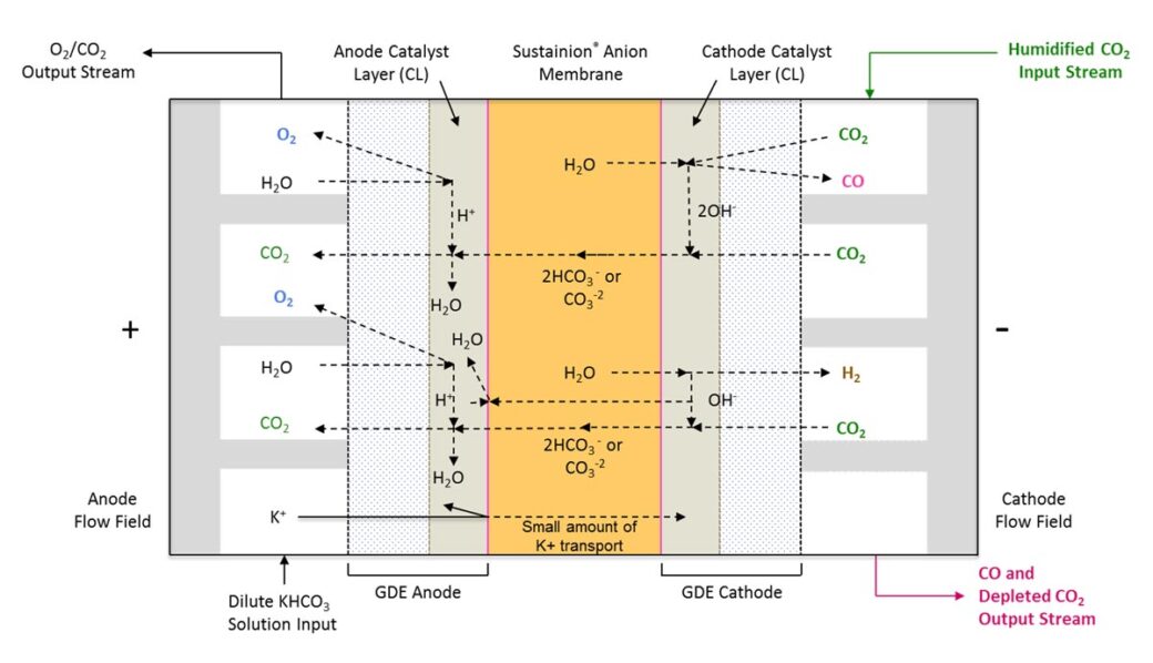 Determination-of-Charge-Carriers-in-CO2-Reduction-to-CO-Electrolyzer ...