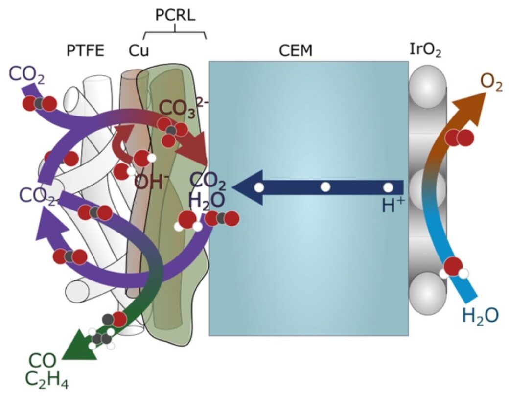 Local-CO2-Regeneration-Enables-Single-Pass-CO2-Conversion-Exceeding-85% ...